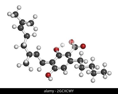 Cannabigerolic acid or CBGA cannabinoid molecule. Stylized skeletal ...