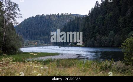 Lacul Rosu, Red Lake, Landscape, Romania Stock Photo - Alamy