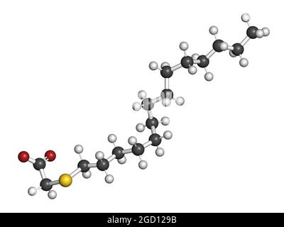 Tetradecylthioacetic acid (TTA) synthetic fatty acid molecule. Skeletal ...