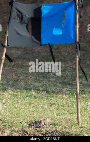 Zambia, South Luangwa. Tsetse fly traps and targets (insecticide ...