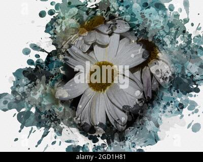 Beautiful grunge background with meadow of daisies Stock Photo - Alamy
