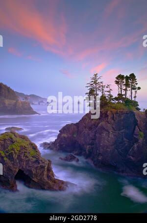 Natural Bridges Viewpoint, Oregon, USA. Foliage at the Natural Bridges ...