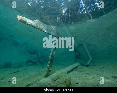 Boundary fence underwater in a mountain lake, Tirol, Austria Stock ...