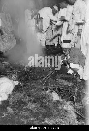 Middle East History: The Samaritan Passover on Mt. Gerizim. Salting the ...