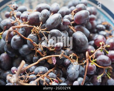 red grape (scientific name Vitis vinifera) vegetarian fruit food Stock ...
