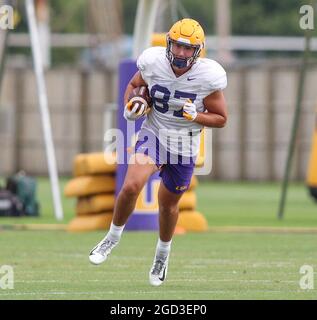 LSU tight end Kole Taylor (87) celebrates a touchdown that was called ...
