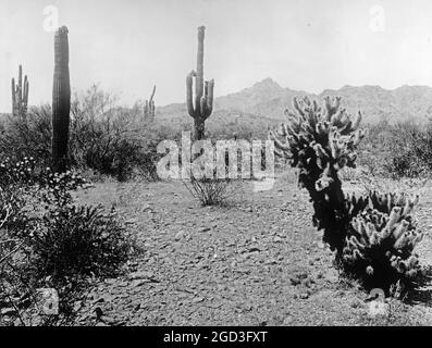 Salt River Project, Phoenix, Ariz Stock Photo - Alamy