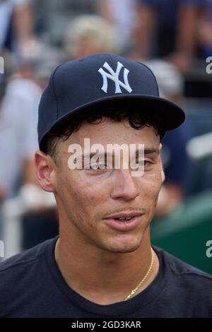 New York Yankees' Andrew Velazquez in the second inning of a baseball ...