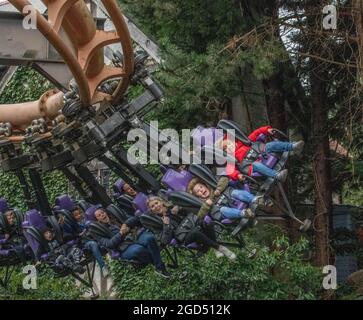 Dragon's Fury roller coaster at Chessington World of Adventures, Surrey ...