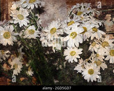 Beautiful grunge background with meadow of daisies Stock Photo - Alamy