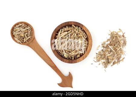 Couch grass herb root used in herbal medicine to treat coughs, fevers ...