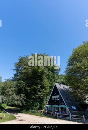 Burley Golf Club, Cott Lane, Burley, New Forest, Hampshire, England, UK ...