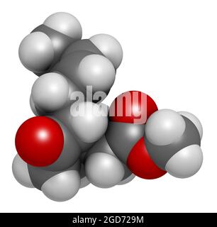 Methyl jasmonate plant stress signal molecule. 3D rendering. Atoms are ...