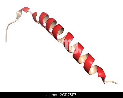 Gastric inhibitory polypeptide (GIP, glucose-dependent insulinotropic ...