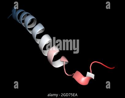Glucose-dependent insulinotropic peptide (gastric inhibitory ...