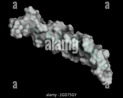 Gastric inhibitory polypeptide (GIP, glucose-dependent insulinotropic ...