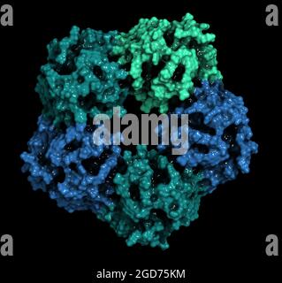C-reactive protein (CRP, human) inflammation biomarker, chemical ...