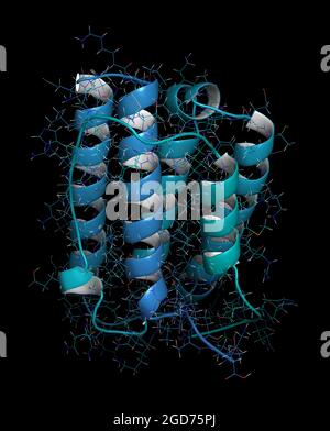 Interferon alpha 2a (IFNA2) molecule. Pegylated analogs of this ...