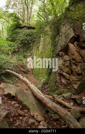 rock canyon of the Stenzelberg mountain in the Siebengebirge hill range ...