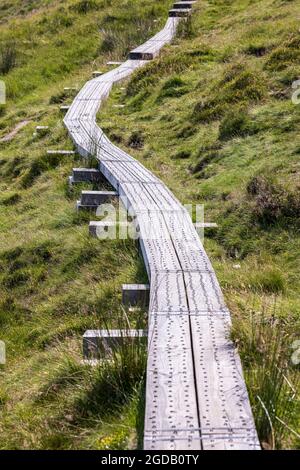 wooden walkway Glendalough Wicklow Ireland Stock Photo - Alamy
