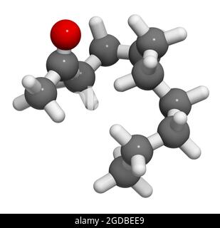 Methyl nonyl ketone (2-undecanone) insect repellent molecule. Skeletal ...