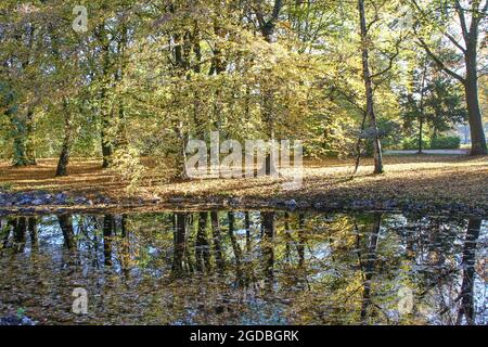 Beautiful colors of the autumn trees and bushes in the highlands of ...