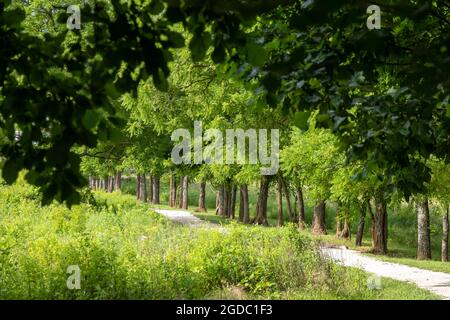 Carver Trail, George Washington Carver National Monument, Missouri ...