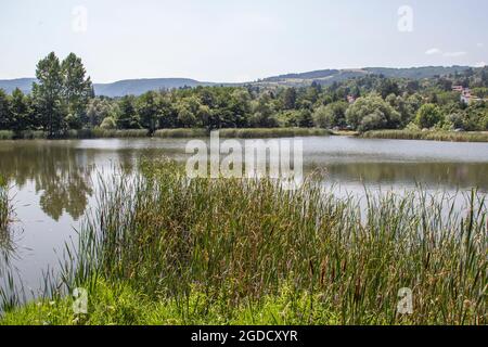 Summer view of Pancharevo lake, Sofia city Region, Bulgaria Stock Photo ...