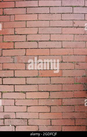 Hardy and rugged masonry brick wall created from many colorful bricks ...