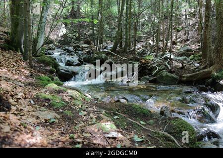 Landschaft Bayern - Bayrischer Wald - Riesbach / Landscape Bavaria ...