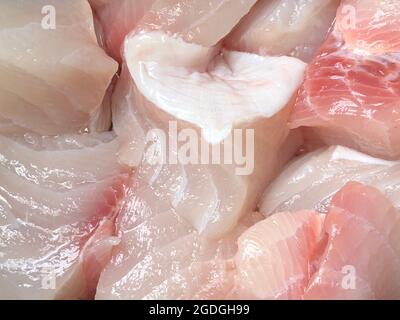 shark fish, fish of sharks, shark fish pieces, Sliced fresh Iridescent ...