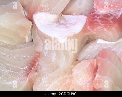 shark fish, fish of sharks, shark fish pieces, Sliced fresh Iridescent ...