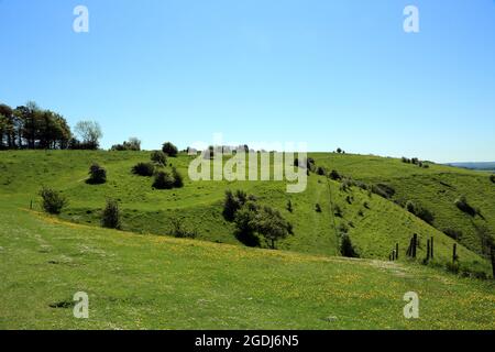 Devils Kneading Trough on Broad Downs and the Wye National Nature ...