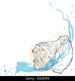 Spiral seashell on grunge background Stock Vector Image & Art - Alamy