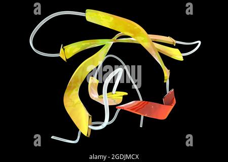 Molecule of Survival motor neuron protein, SMN isolated on white ...