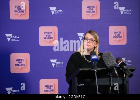 Victorian Minister for Health Martin Foley speaks to the media during a ...