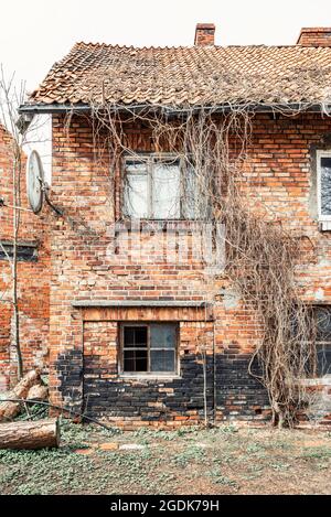 Messy yard of an old ruined house Stock Photo - Alamy