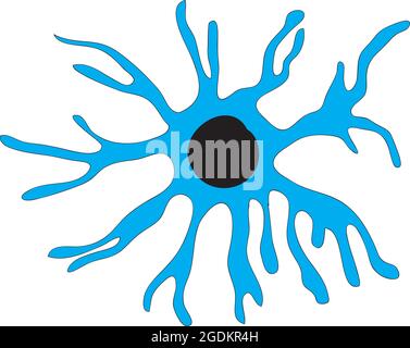 Neuron (Nerve Cell) anatomy colorful illustration. Labeled and ...