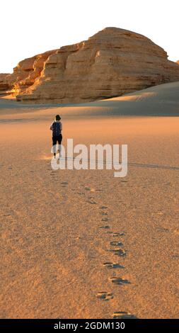 Rear view of backpacker leaving footprints in the sandy beach Stock ...