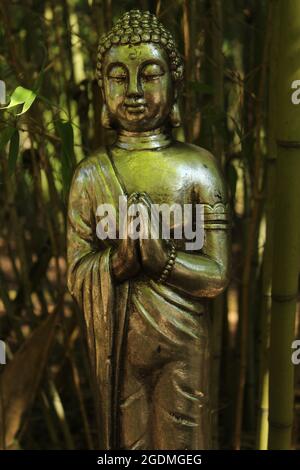 Buddha Statue in bamboo forest Stock Photo - Alamy