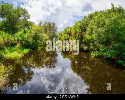 Clay Gully in Myakka River State Park in Sarasota Florida USA Stock ...