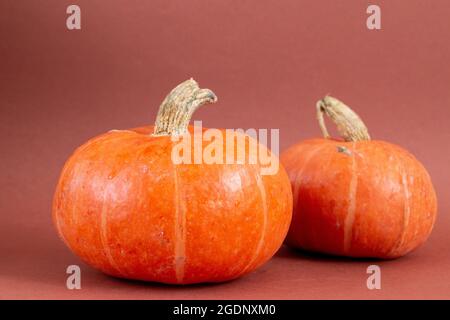 orange pumpkin isolated on brown background, empty space for text Stock ...