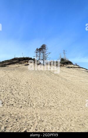 USA, Oregon, Cape Kiwanda, Scenic view of rock formations along ...
