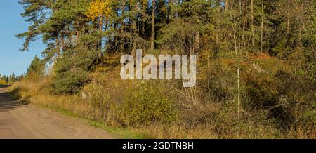 Khitola village, Karelia, Russia October 6, 2019. A sunny morning in ...
