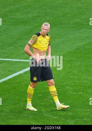 Erling HAALAND, Haland, BVB 9 bauchfrei, Oberkoerper, Body ...