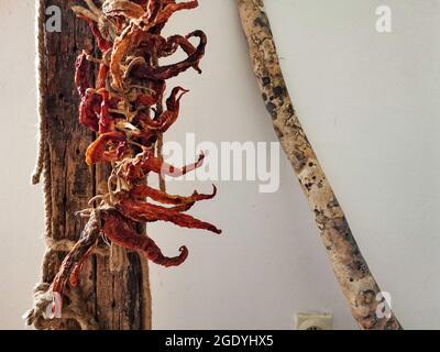 Dry rotten red hot peppers isolated on white background Stock Photo - Alamy