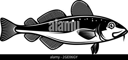 Atlantic Cod fish hand drawing vintage engraving illustration Stock ...