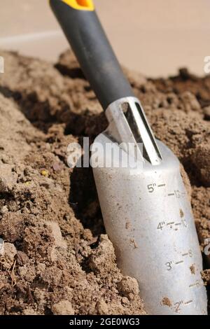 Trowel in a container of dirt Stock Photo - Alamy