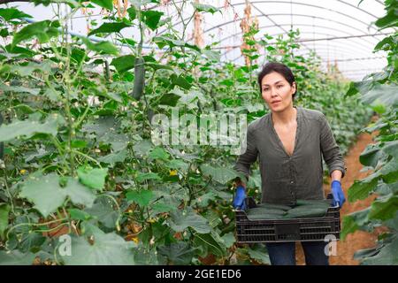 Woman carrying box full of cucumbers Stock Photo - Alamy