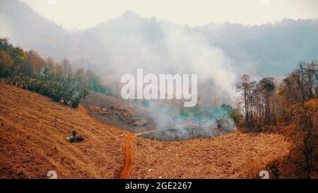 Smog of bushfire fires. Deforestation and Climate crisis. Toxic haze ...